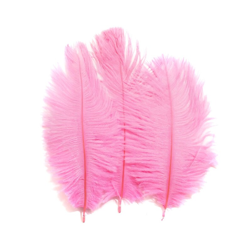 Pink Ostrich Feathers - Etsy