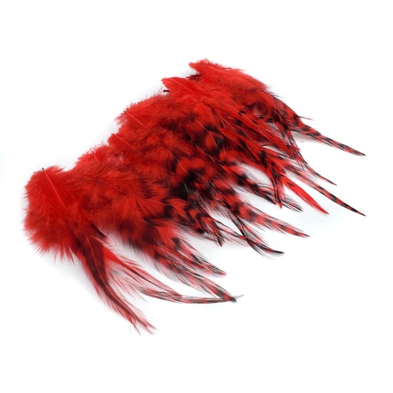 Red Rooster Feathers 10 Pieces 3-5 Inches - Etsy