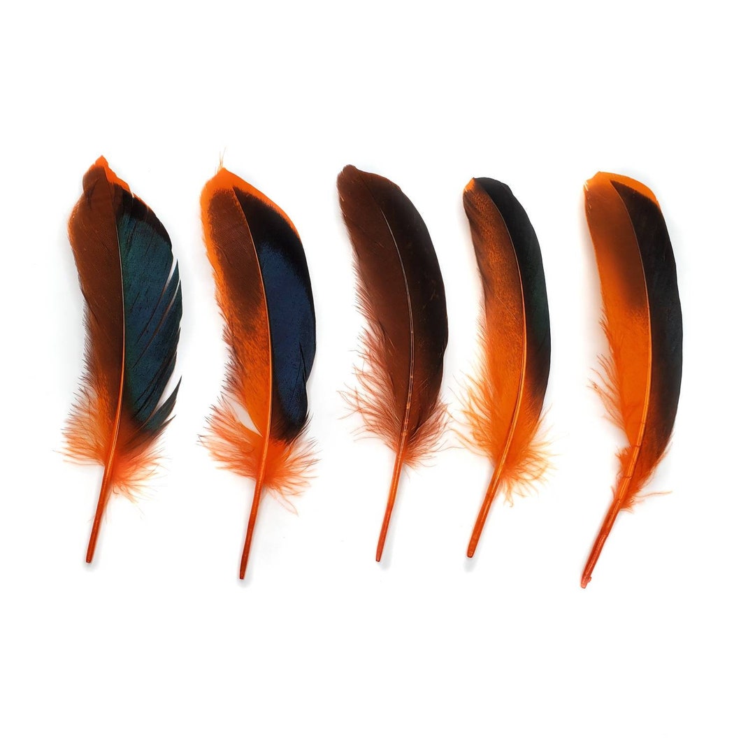Extended Shipping* 10 Pcs Orange Duck Feathers 4-6" Dyed Duck Loose ...