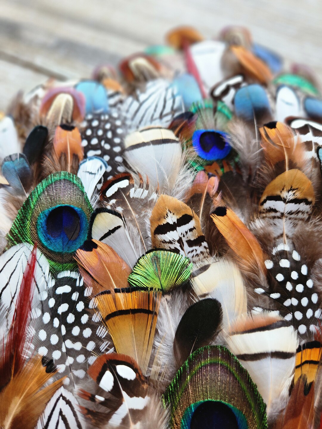 Assorted Pheasant Feathers 1-3" Colorful Natural Feathers, Mixed ...