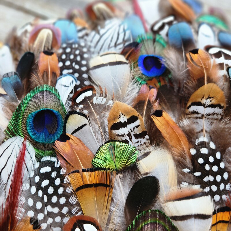 FullOFeathers - Etsy