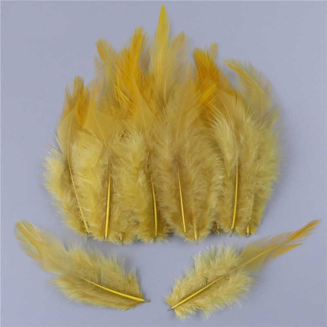 BULK 100 Auburn Gold Rooster Feathers, 3-5" Inches - Etsy