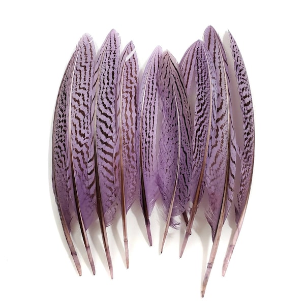 Purple Feathers - Etsy