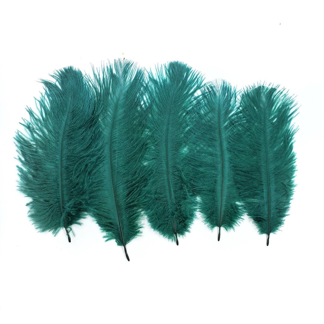 Extended Shipping Timeframe10 Pcs Forrest Green Ostrich Feathers 6-8 ...