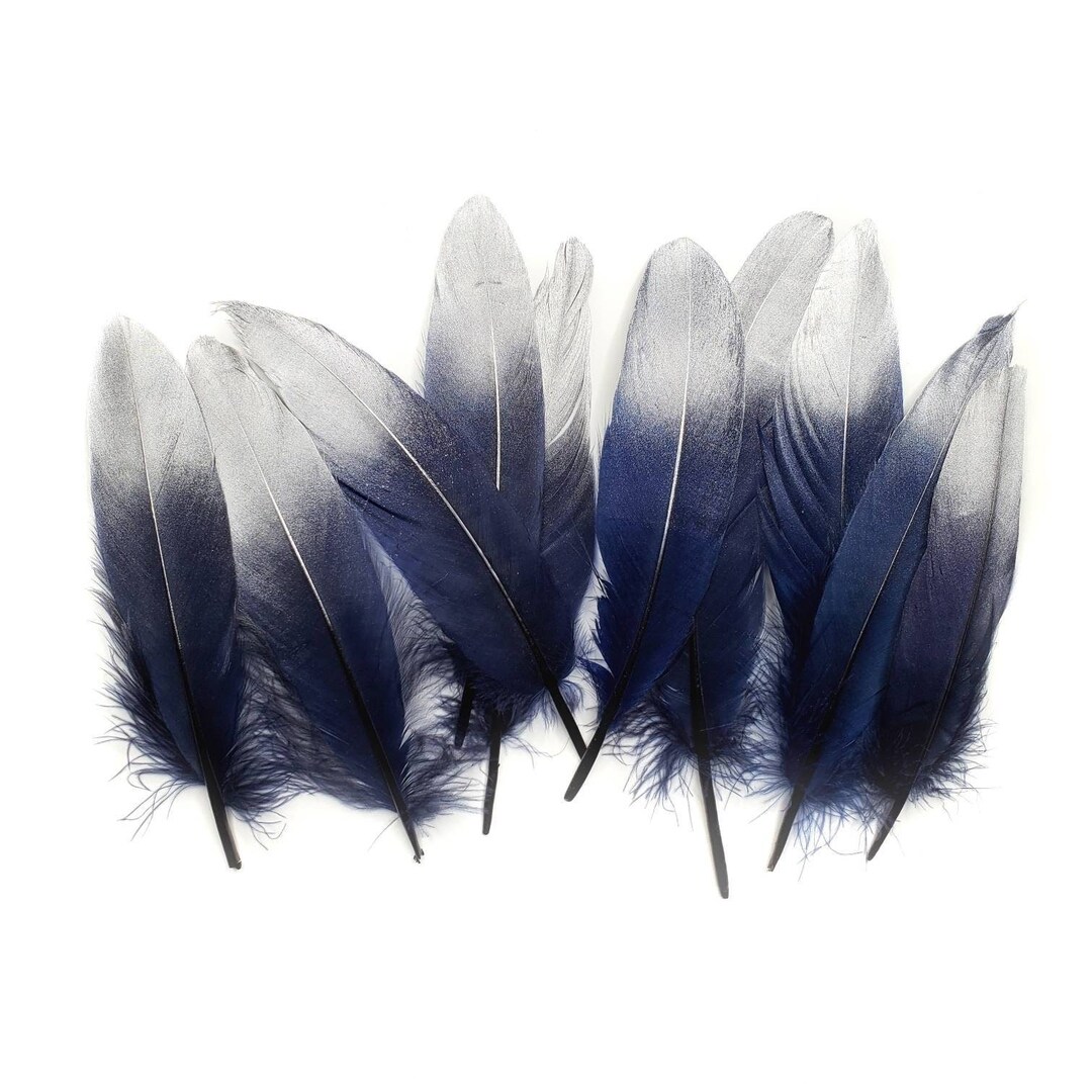 Silver Tip Navy Blue Goose Feathers, 10 Pieces, 6-8" Inches - Etsy