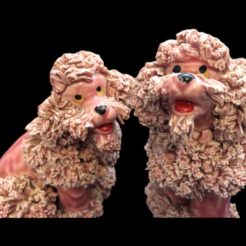 Spaghetti Dog - Etsy