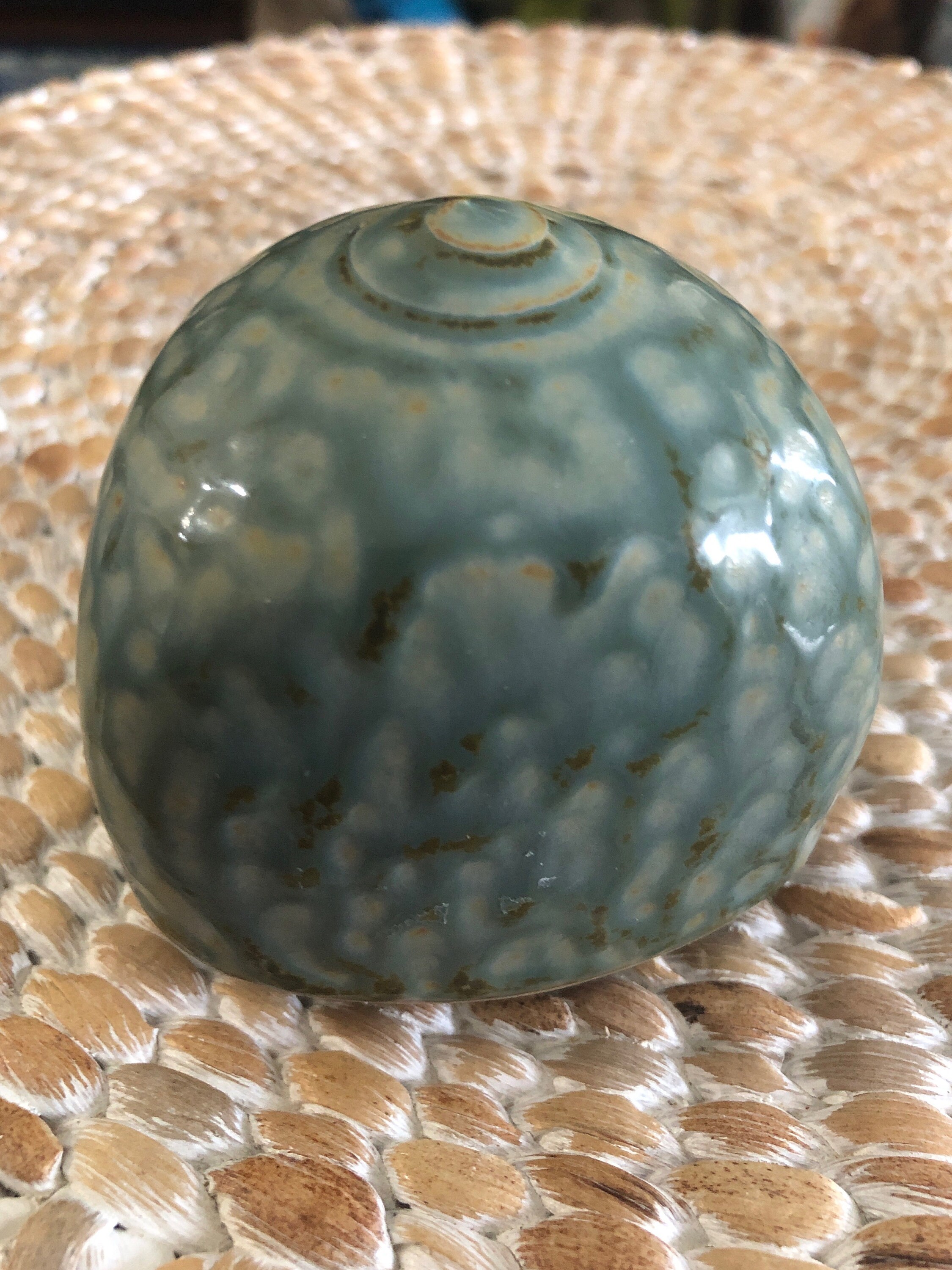 LIMETON POTTERY PAPERWEIGHT Blue-gray Drip Glaze Snail Top Gs1a-100 - Etsy
