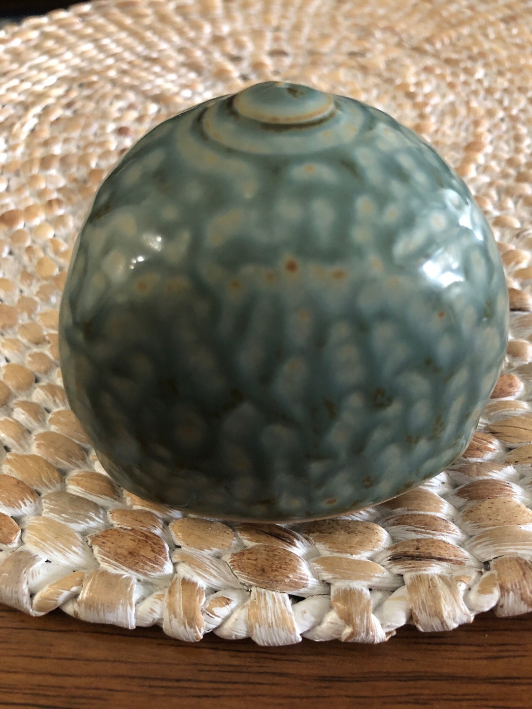 LIMETON POTTERY PAPERWEIGHT Blue-gray Drip Glaze Snail Top Gs1a-100 - Etsy