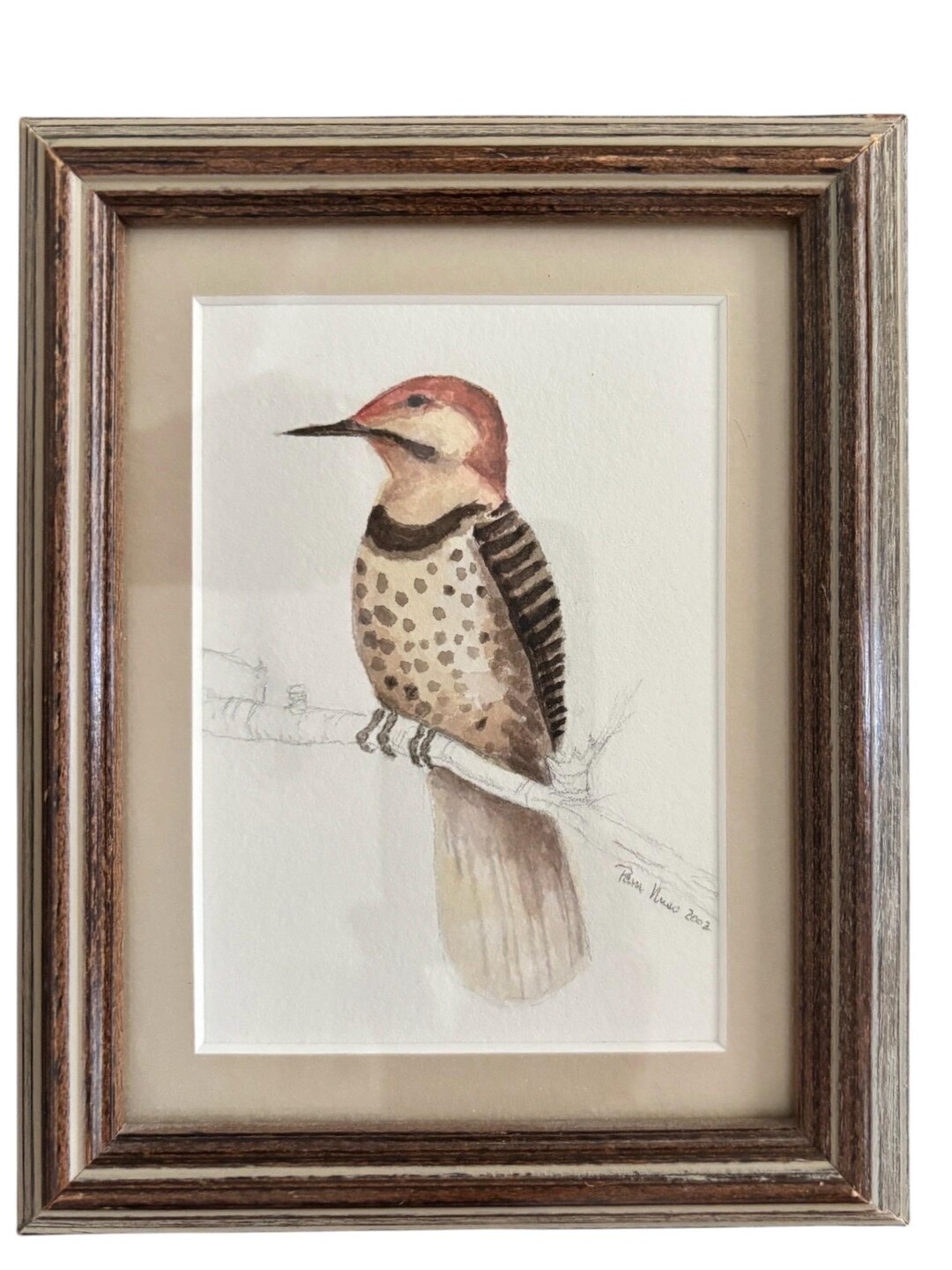 HAND WATERCOLOR Northern FLICKER Study - Custom Matted Framed - Signed ...