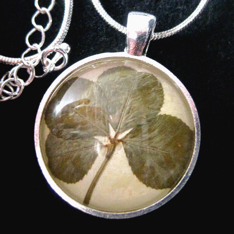 Real Four Leaf Clover Necklace - Etsy