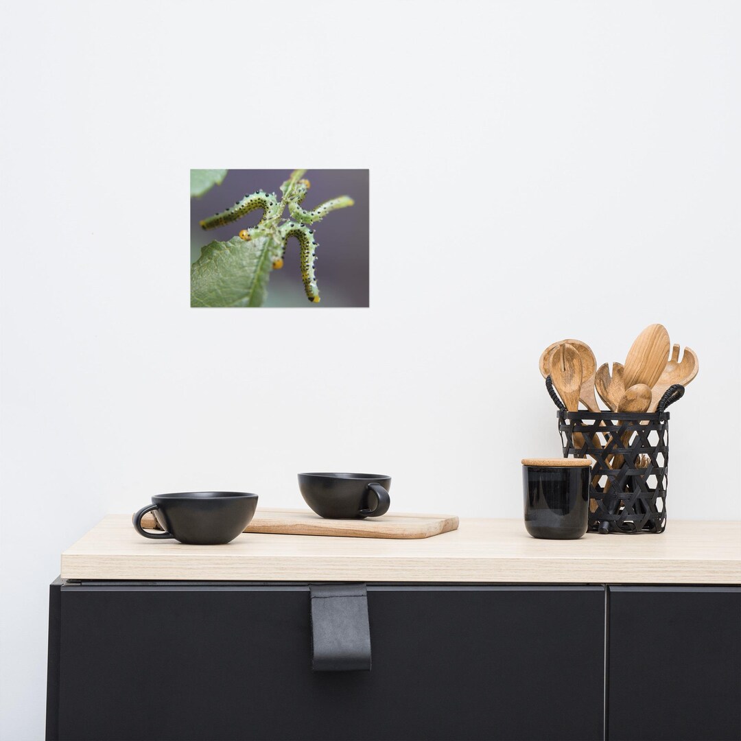 Aerodynamics Poster - Etsy