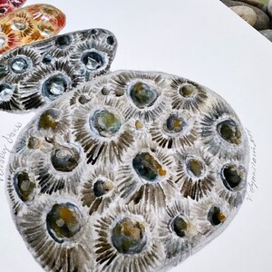 Michigan Rocks Fine Art Illustration Print Petoskey Stone Colorful ...