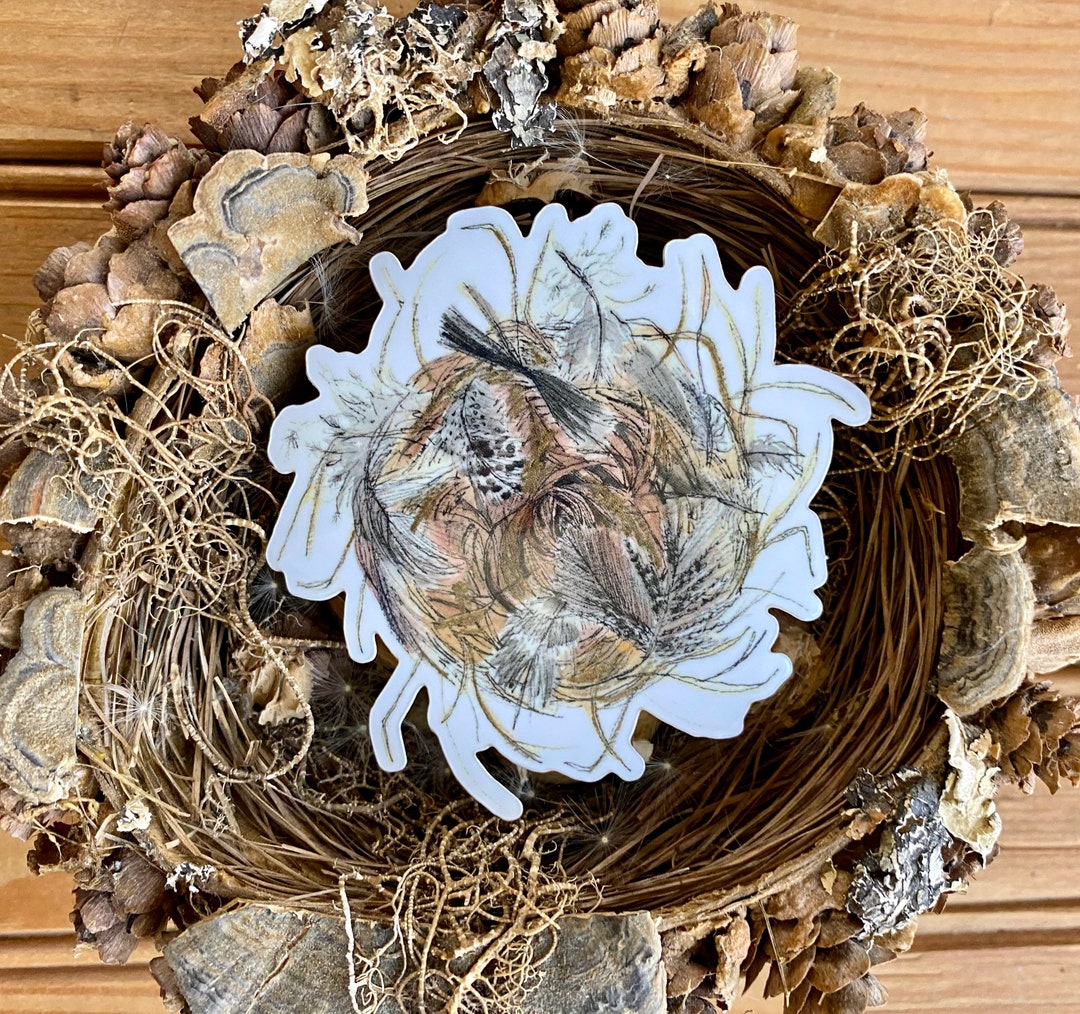 Nest Sticker Decal - Feather Nest Nesting - Nature Art - Bumper Sticker ...