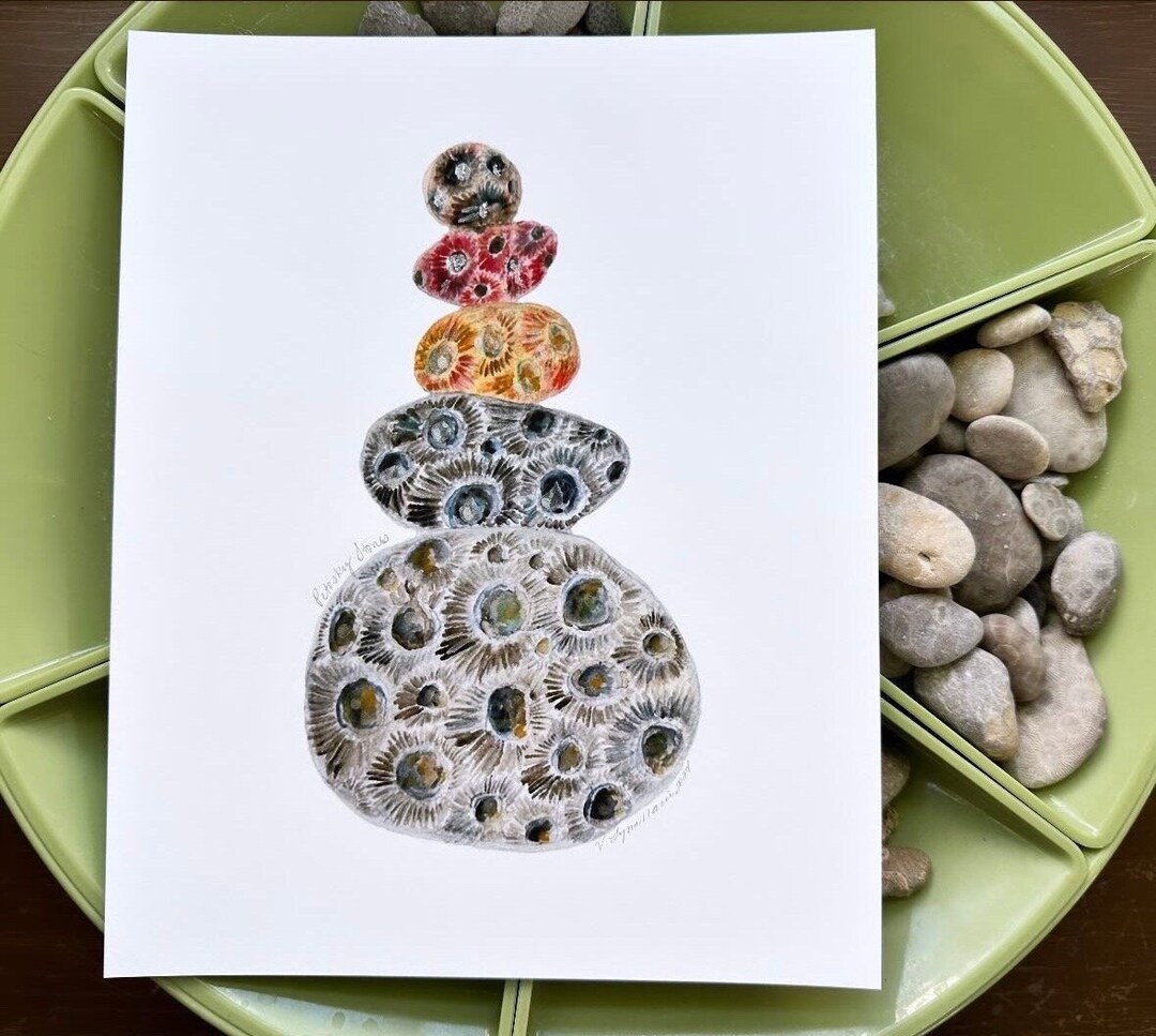 Michigan Rocks Fine Art Illustration Print Petoskey Stone Colorful ...