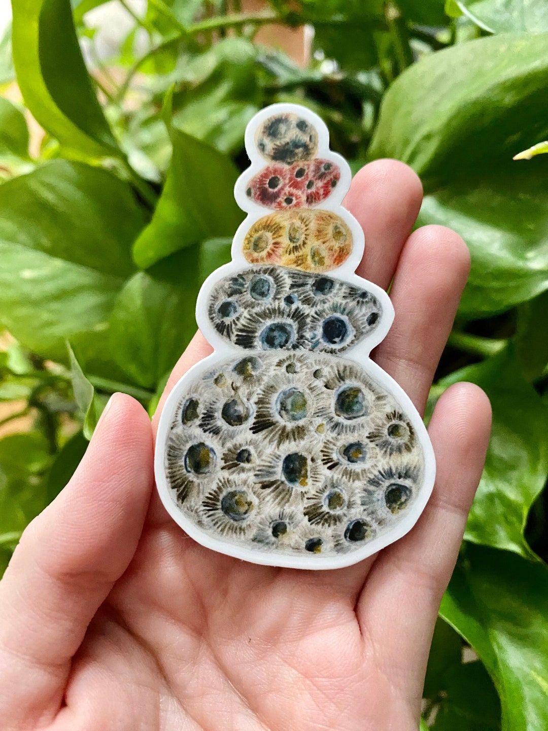 Sticker Decal Michigan Rocks Artwork Petoskey Stone Colorful Fun Decor ...