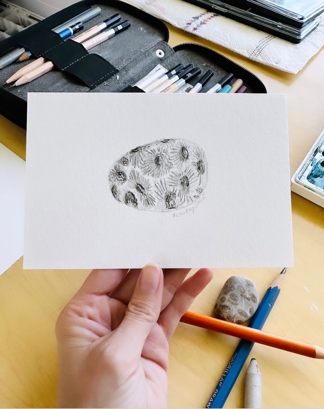 Original Petoskey Stone Drawing, Geological Rock Art (4x6) - Etsy
