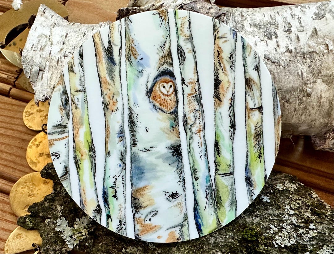 Birch Tree Owl Sticker | Watercolor Forest Art, Illustration Artwork ...