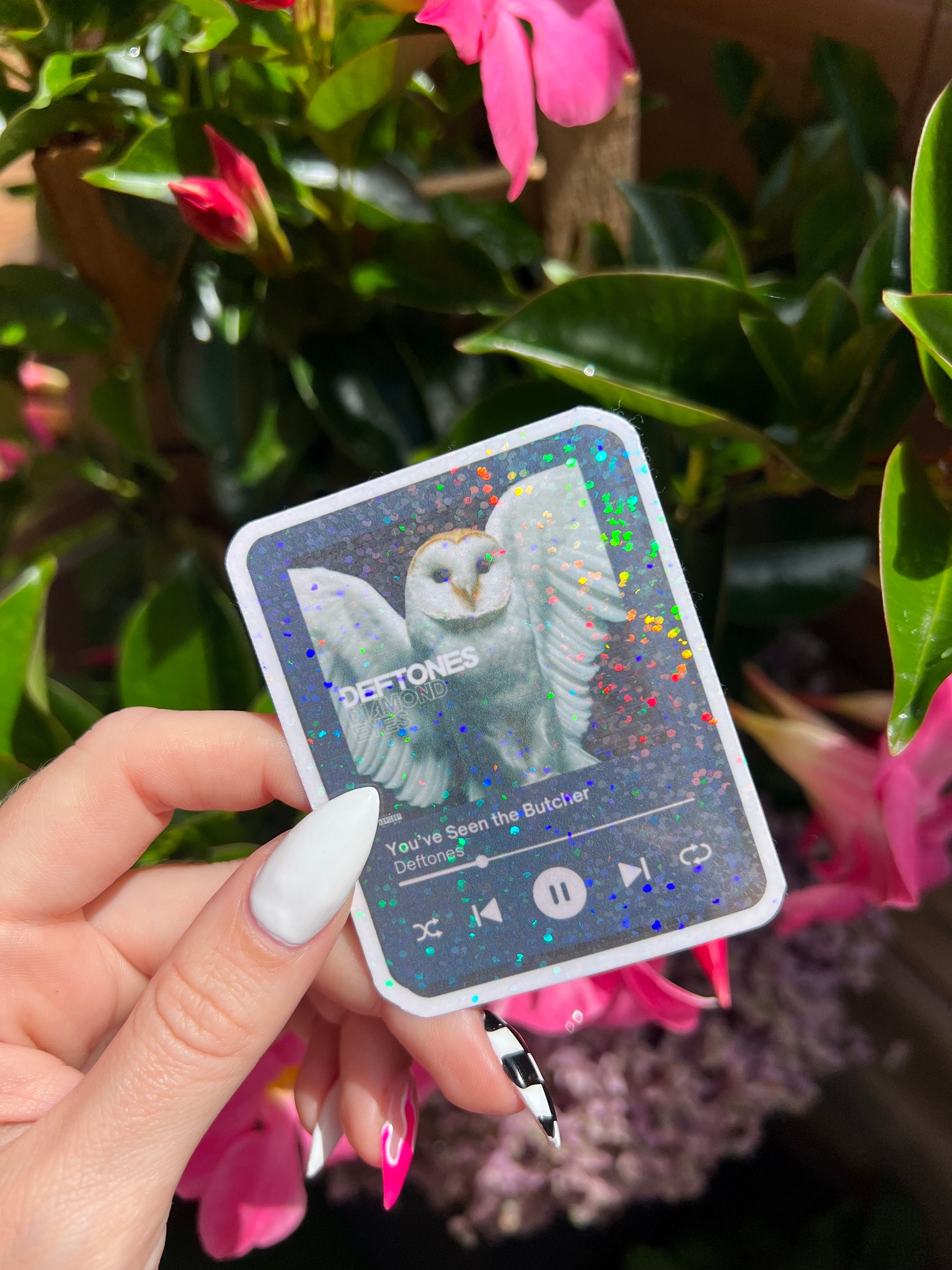 Holographic You’ve Seen the Butcher Album - Etsy