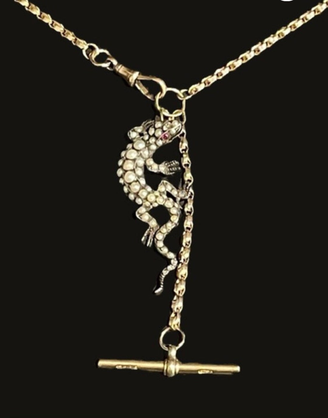 Antique 9ct Gold Guard Chain Silver Pearl Diamond Ruby Lizard T Bar ...