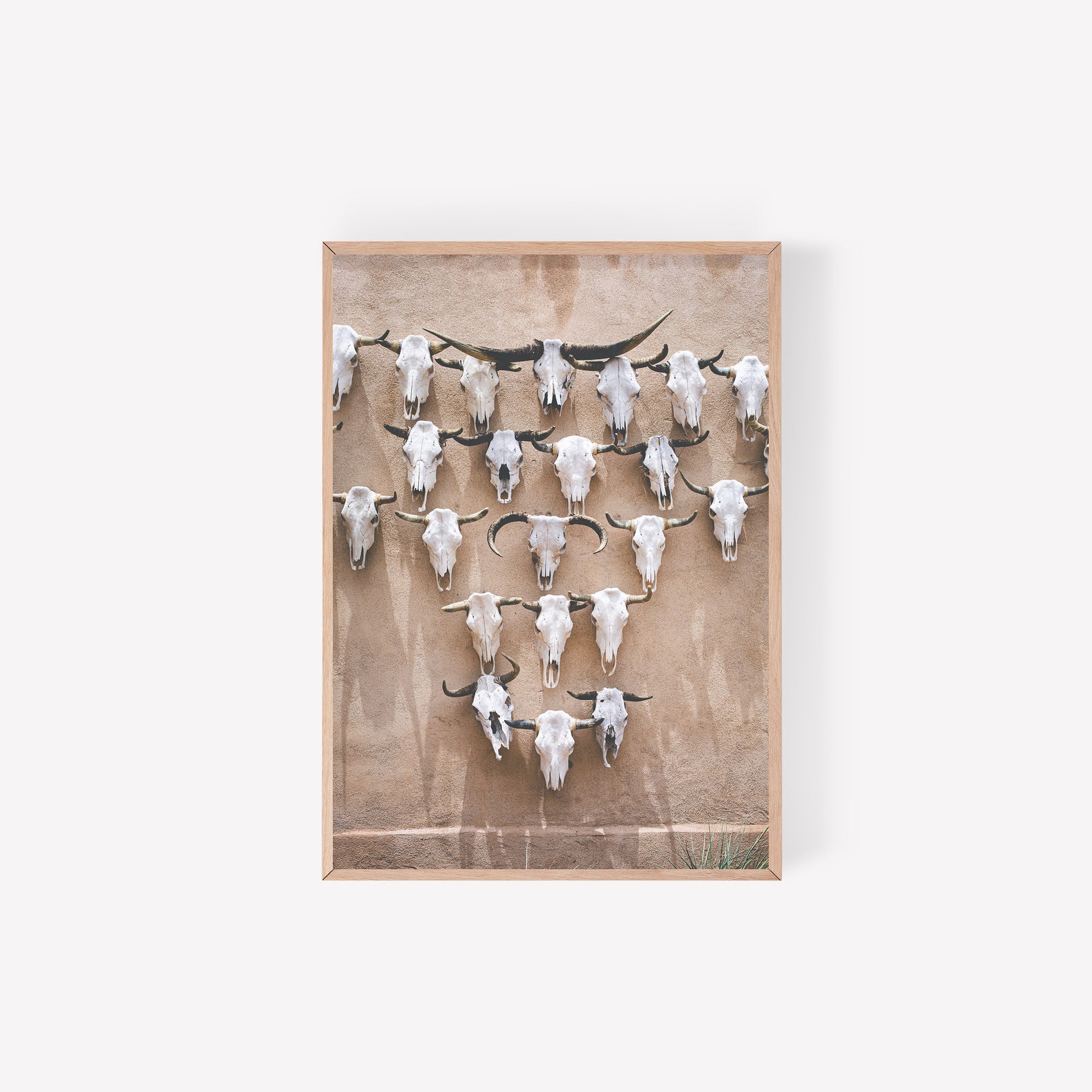 Rustic West Texas Photography Ranch Decor Texas Wall Art - Etsy