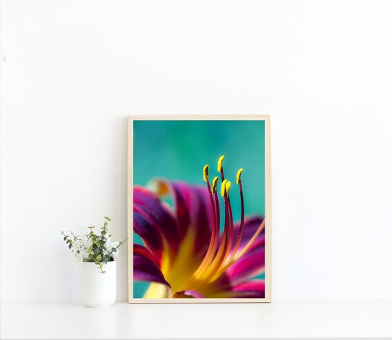 Modern Flower Wall Art Bold Floral Wall Art Floral Wall - Etsy
