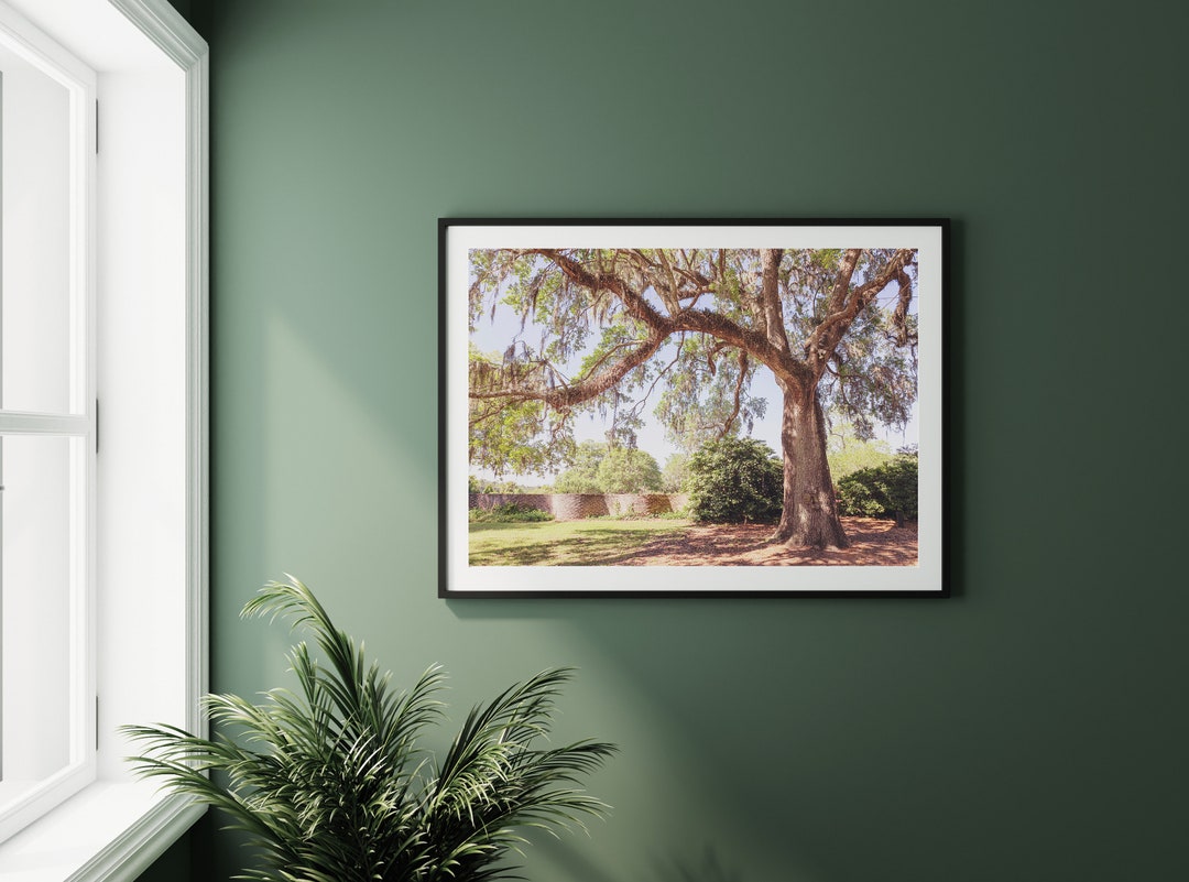 South Carolina Lowcountry Landscape Photography, Lowcountry Wall Art ...