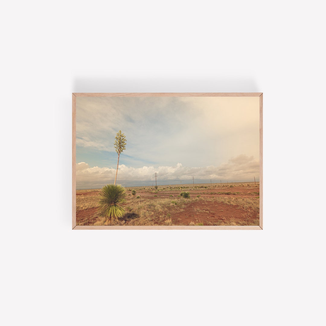 Marfa Texas West Texas Landscape Print, West Texas Landscape ...