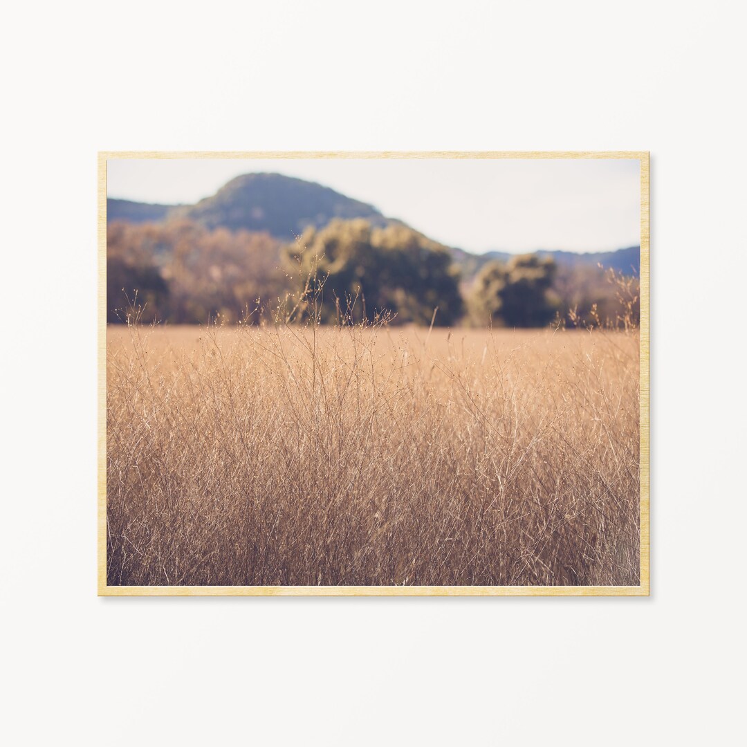 Texas Photography, Texas Landscape, Rustic Decor, Landscape Photography ...