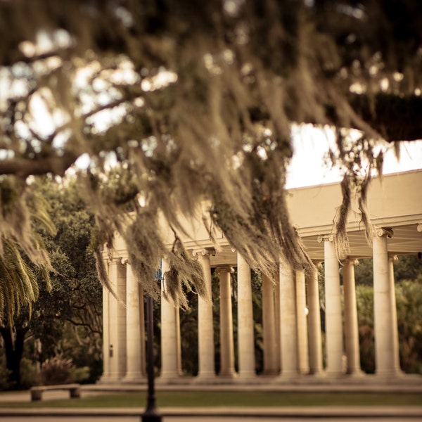 New Orleans Decor - Etsy