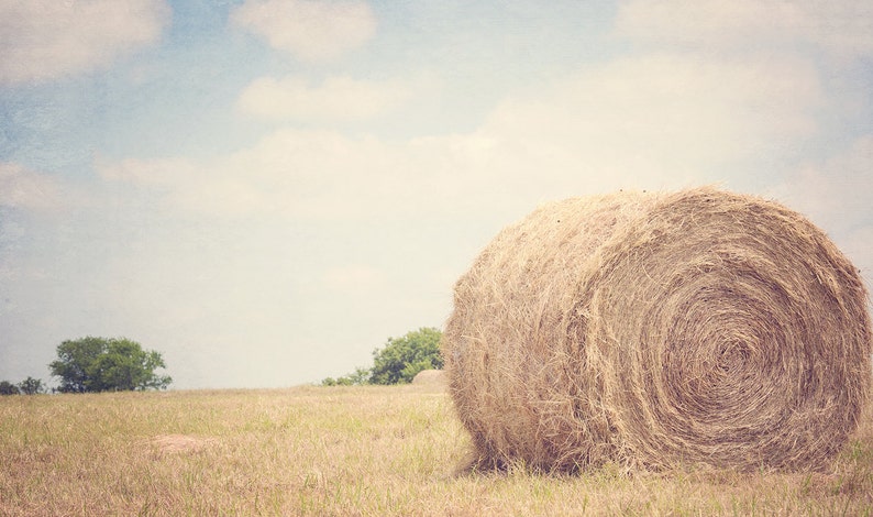 Farmhouse Decor, Hayfield in Summer, Rustic Photography, Farmhouse ...