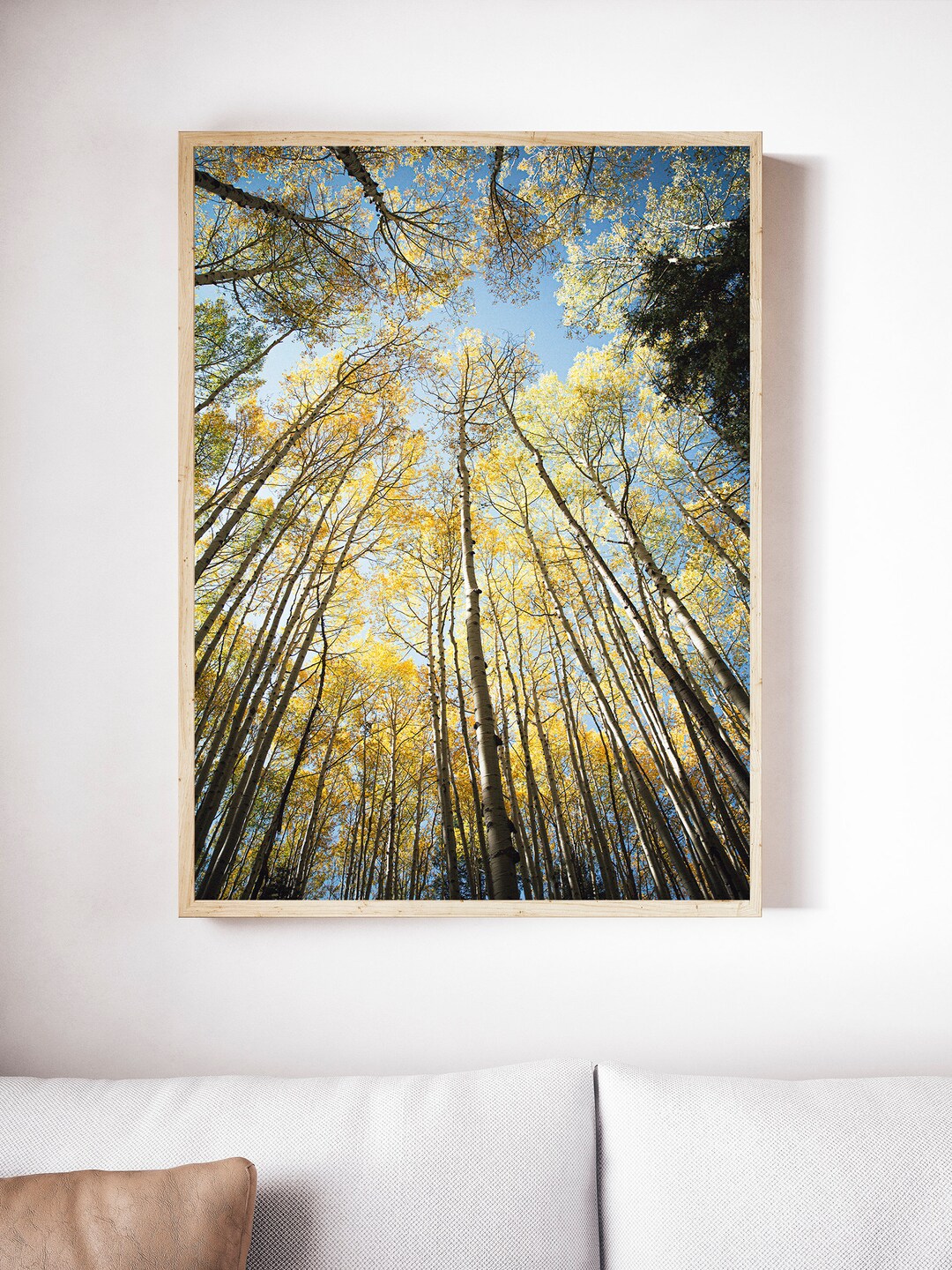 Aspen Wall Art, Aspen Fall Foliage, Colorado Aspen Photography ...