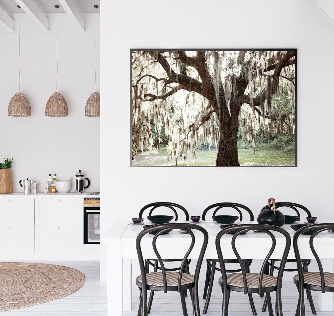 South Carolina Wall Art Lowcountry Landscape Photography - Etsy
