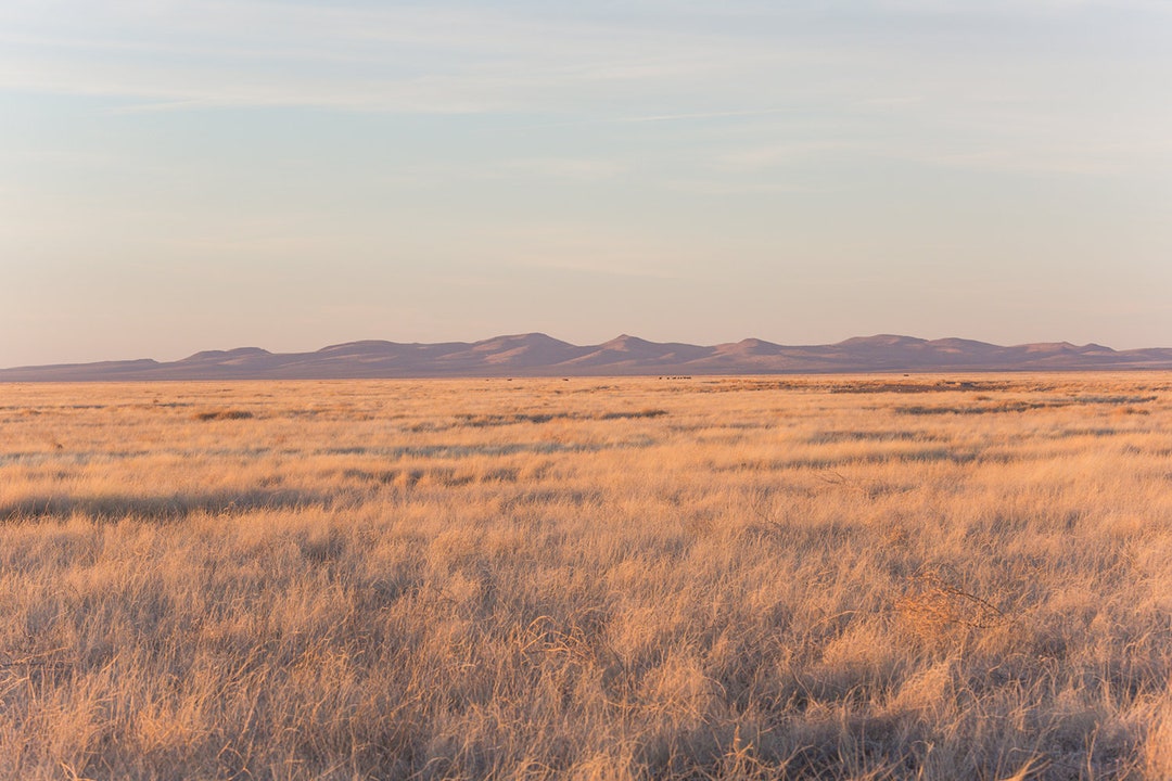 Marfa Texas Wall Art, Marfa Photography, Texas Decor, Texas Photography ...