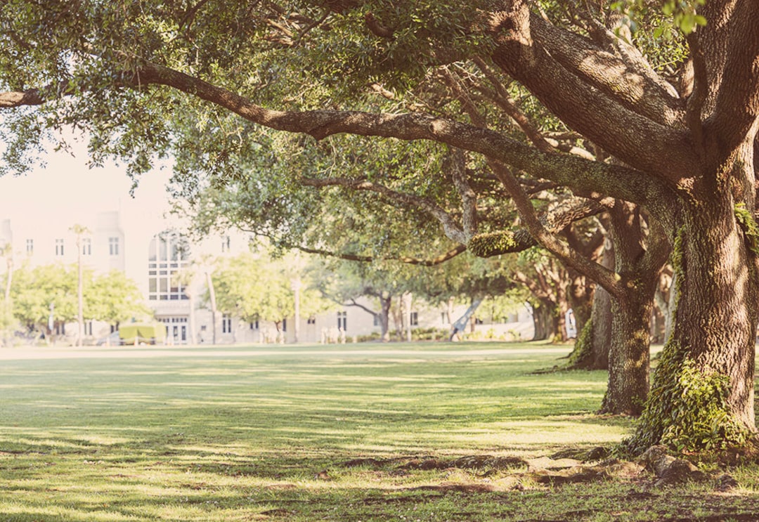 Citadel College Print, the Citadel Wall Art, Charleston South Carolina ...