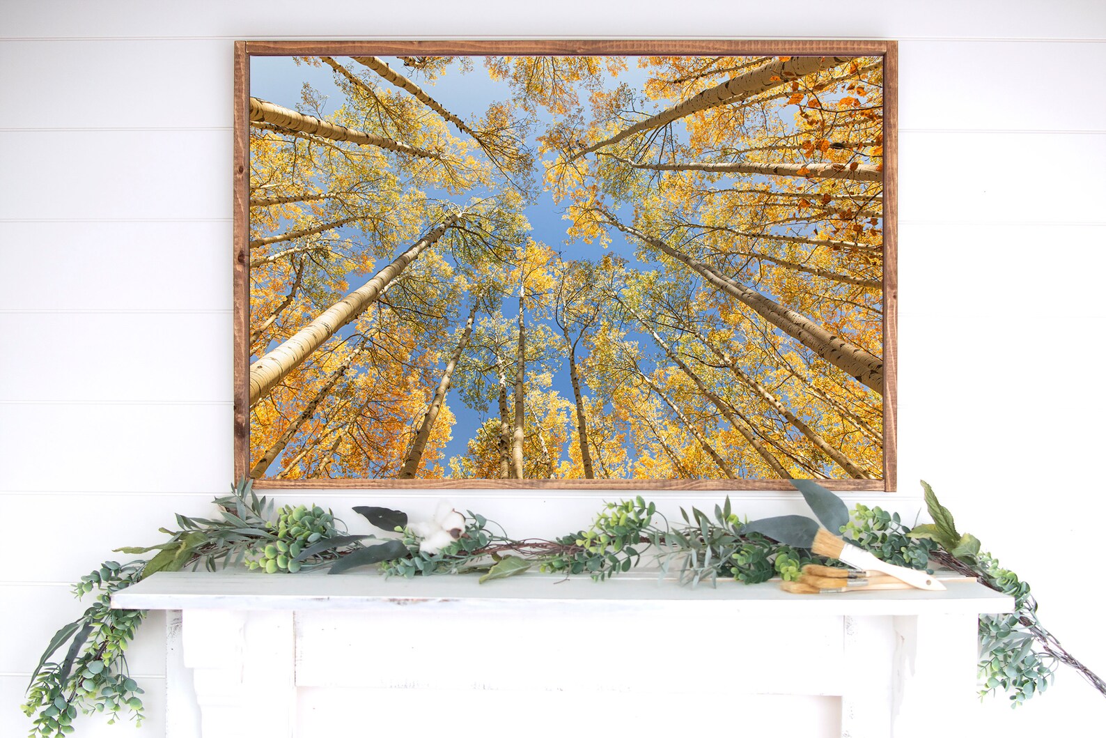 Aspen Wall Art Aspen Fall Foliage Colorado Aspen - Etsy