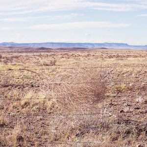 West Texas Landscape Photography Print, Texas Desert Landscape Wall Art ...