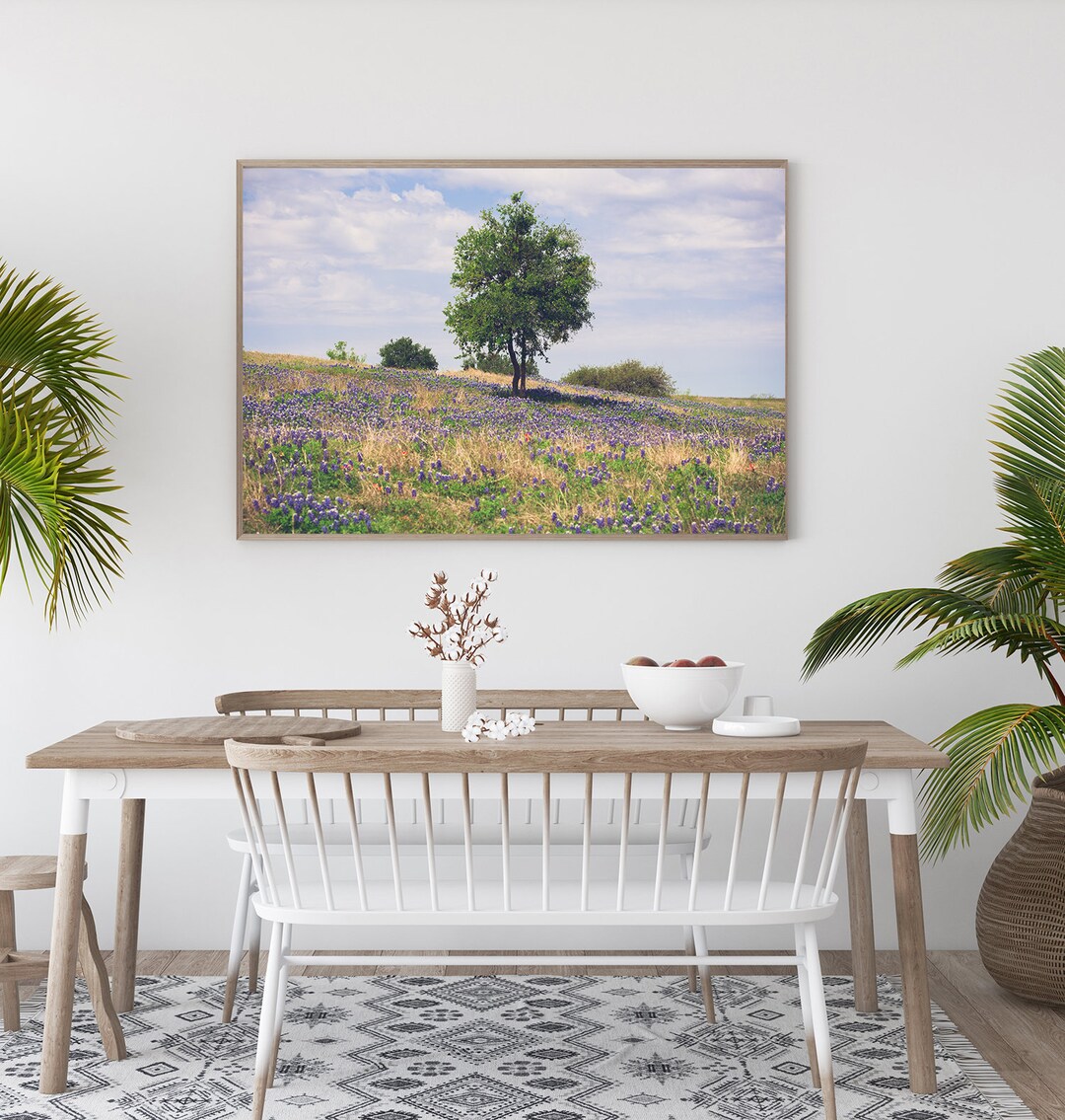 Texas Hill Country Print | Texas Bluebonnets | Texas Landscape | Fine ...