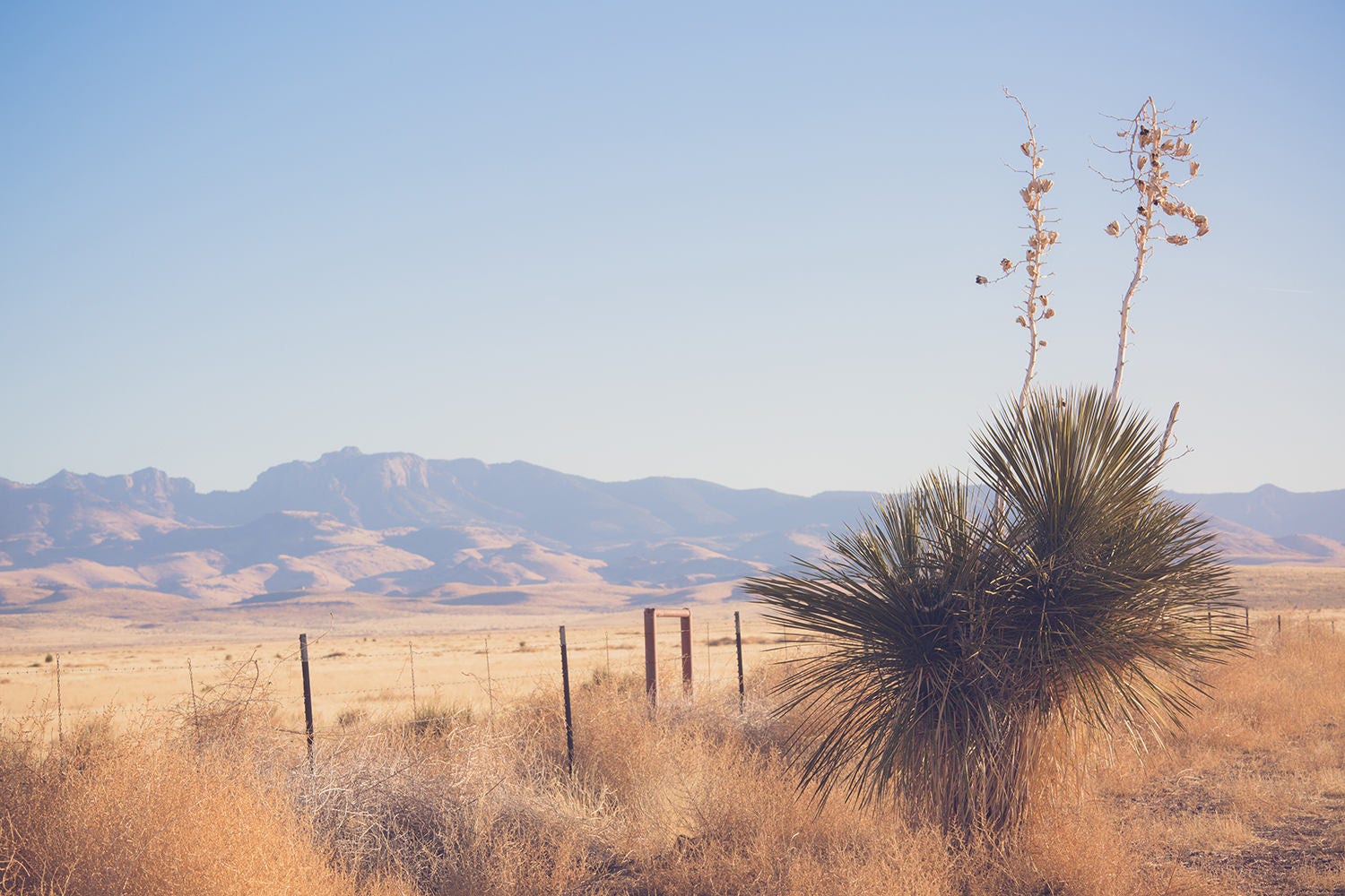 Marfa Photography, Marfa Texas, Prairie, West Texas, Texas Decor, Texas ...