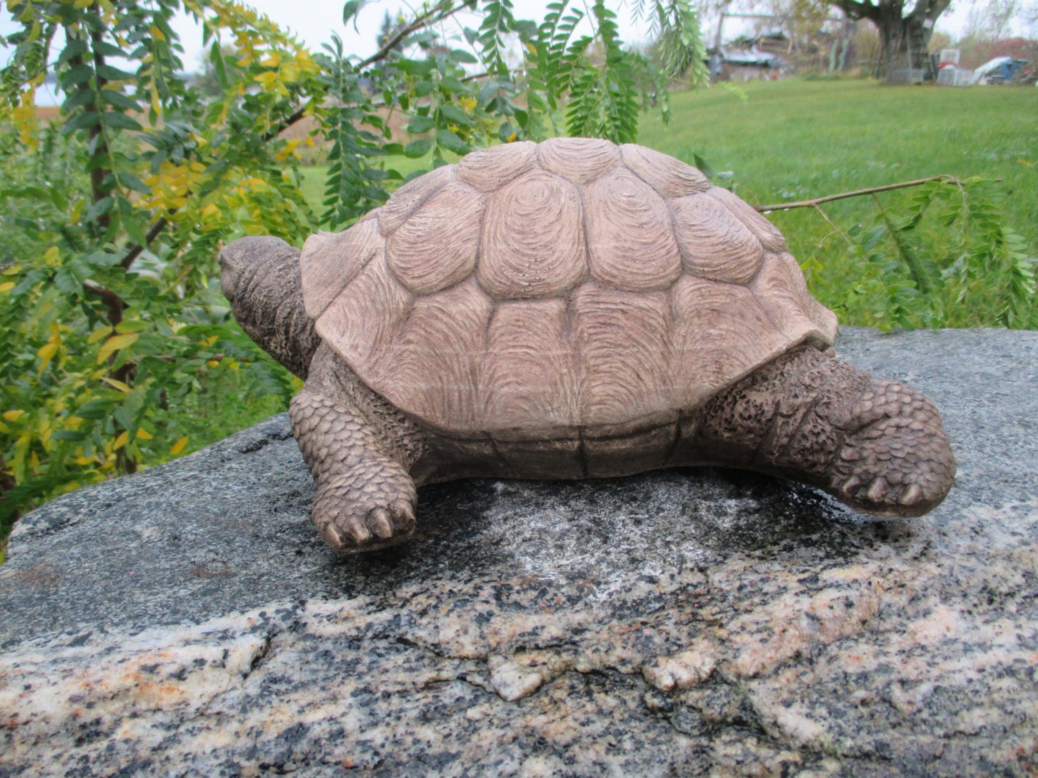 Oscar-the Snapping Turtle Statue - Etsy Canada