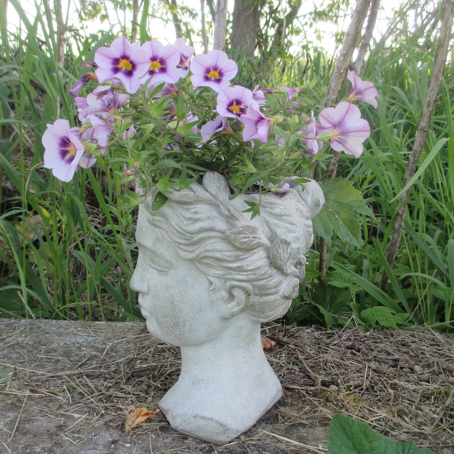 Venus Goddess Bust Planter Medium - Etsy