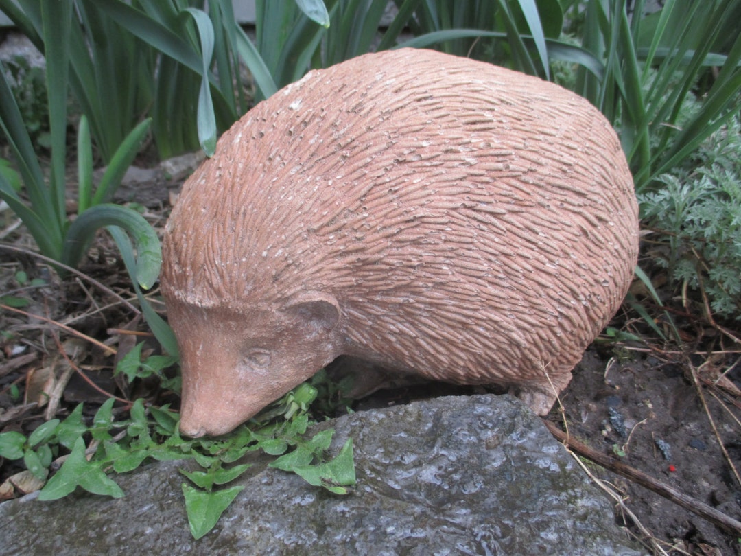 Hazel Mother Hedgehog Statue - Etsy