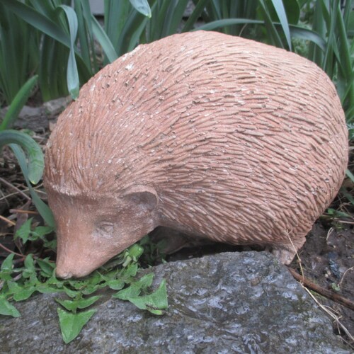 Hazel Mother Hedgehog Statue - Etsy