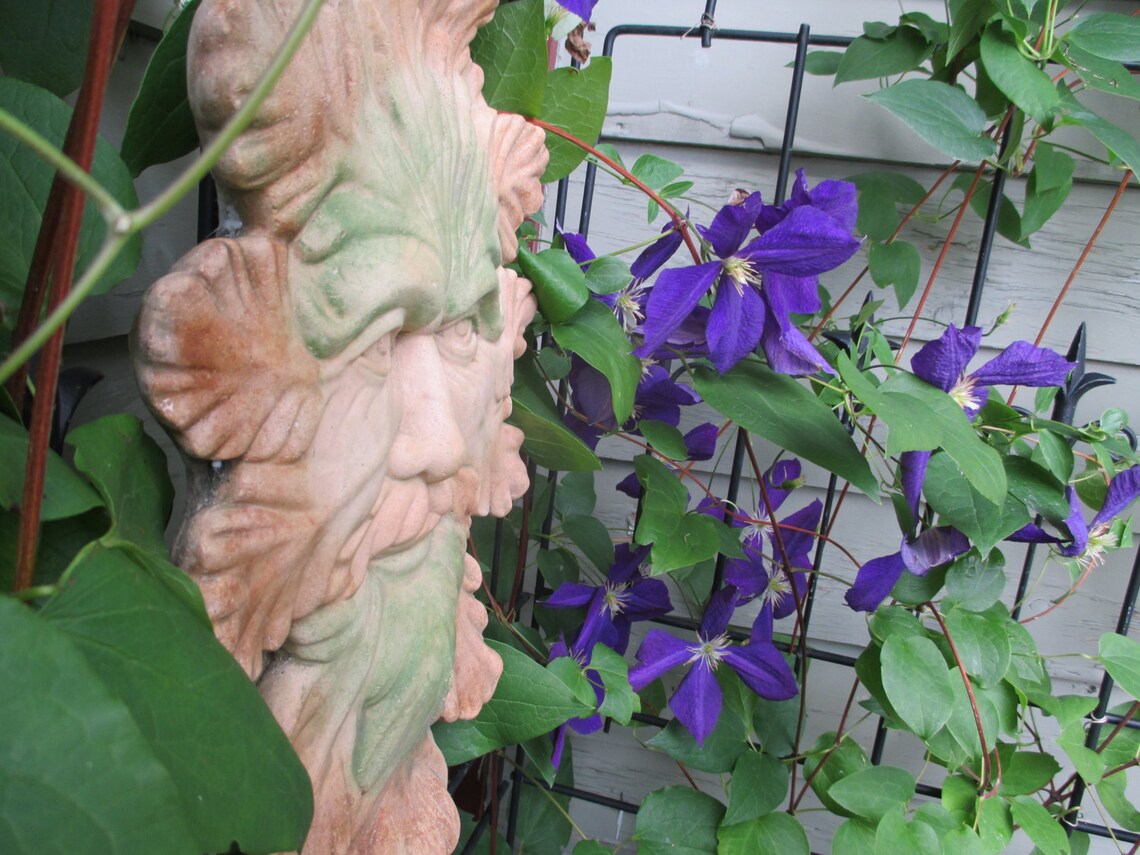 Leaf Man Face - Etsy