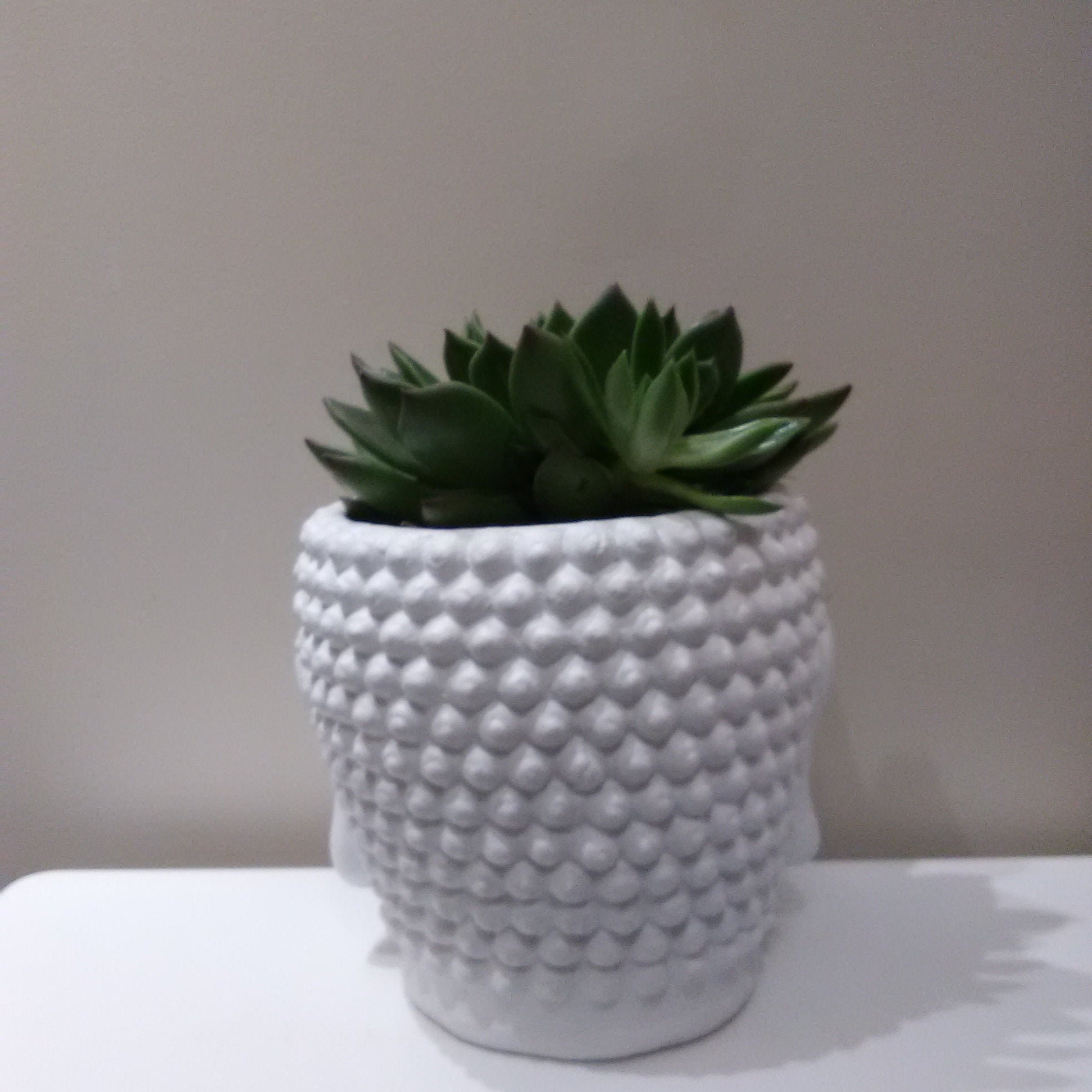 Extra Large Buddha Head Planter - Etsy Canada