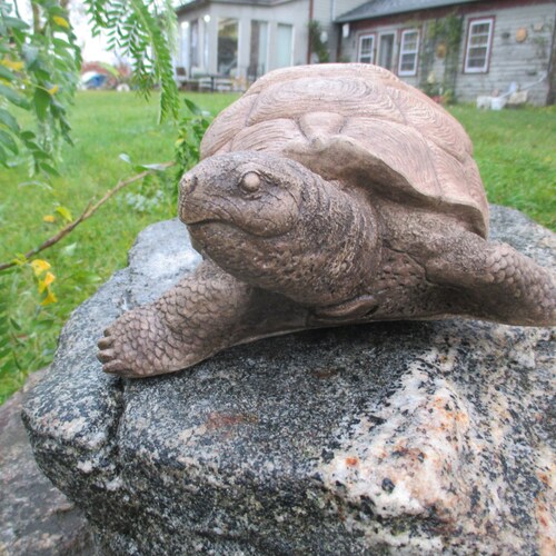 Oscar-the Snapping Turtle Statue - Etsy