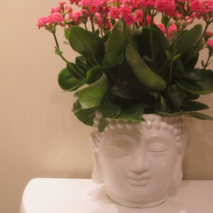 Extra Large Buddha Head Planter - Etsy Canada