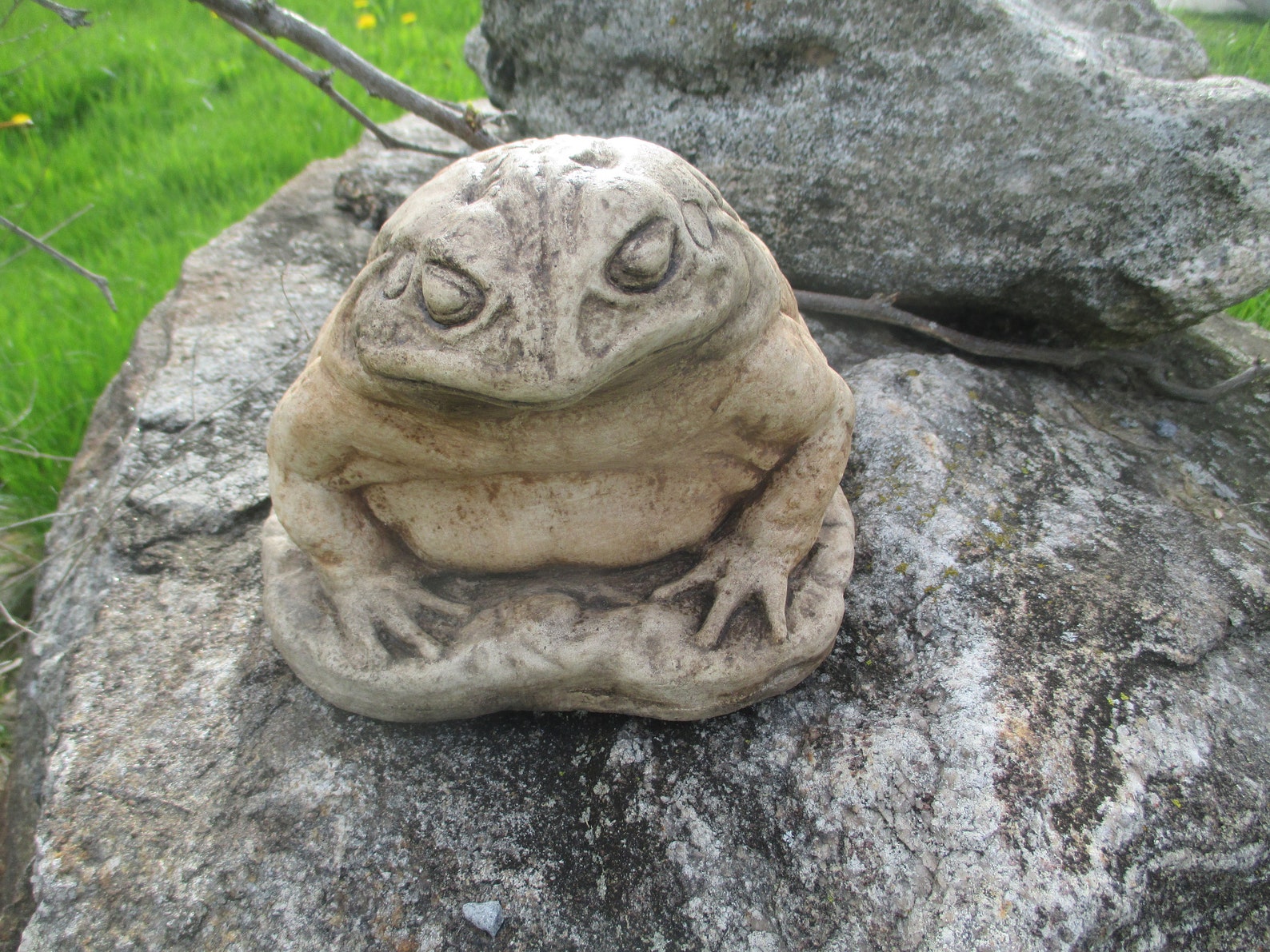 King Arthur-toad | Etsy