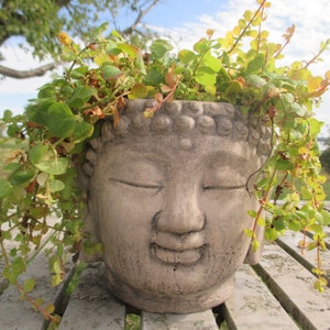 Extra Large Buddha Head Planter - Etsy Canada