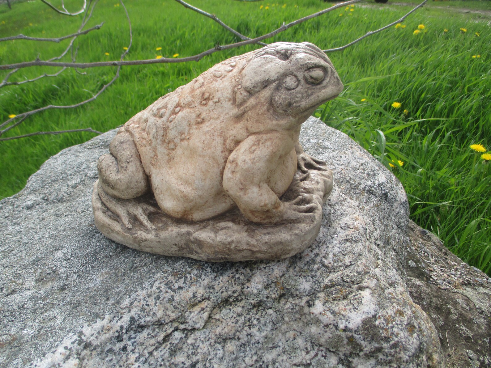 King Arthur-toad | Etsy