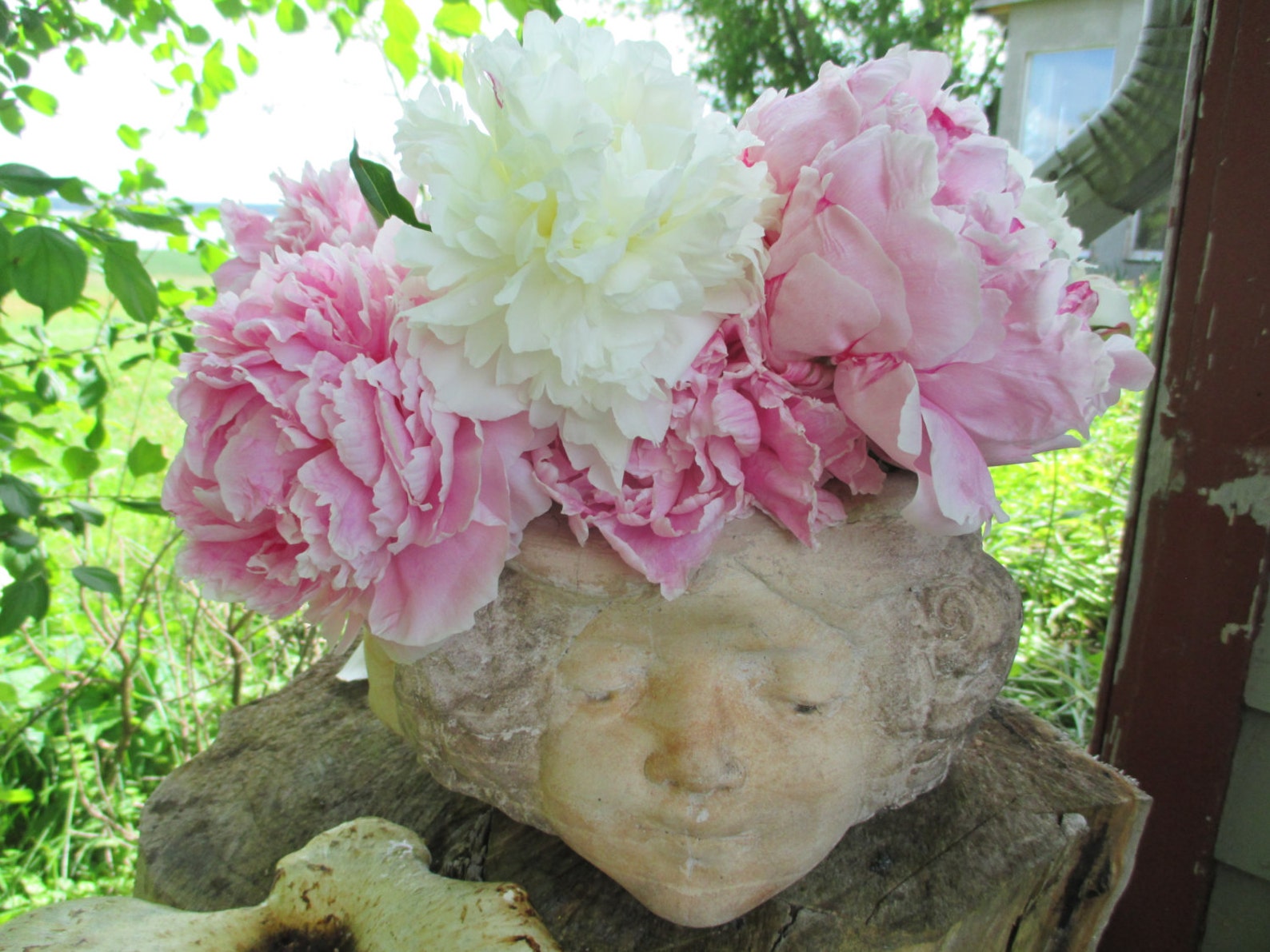 4 Faces Planter - Etsy